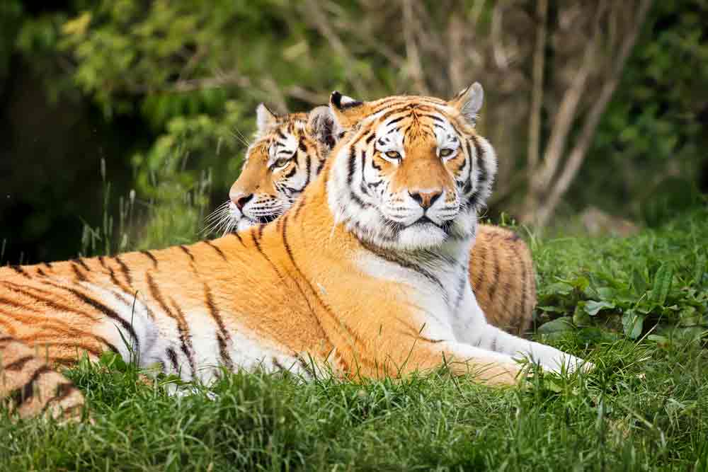 Welcome to the Zoos and Aquariums of America! - Zoos & Aquariums of America